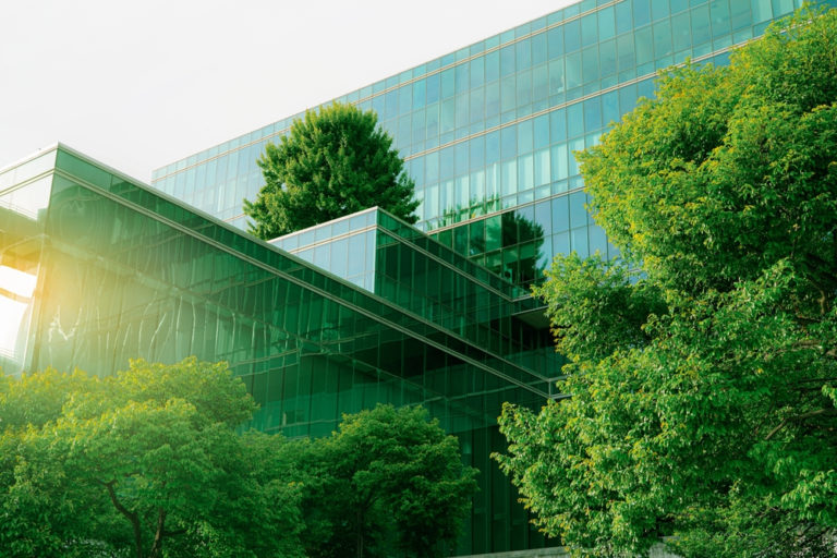 25 Sustainable Eco-Friendly Event Strategies | Limepack
